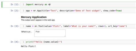 Text Widget In Jupyter Notebook