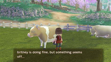 My Bull Immediately Got To Work After Two Of My Cows Just Gave Birth
