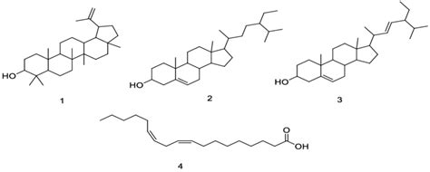 Lupeol 1 β Sitosterol 2 Stigmasterol 3 And Linoleic Acid 4