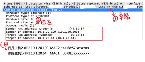 图解 ARP协议一 csguo 博客园