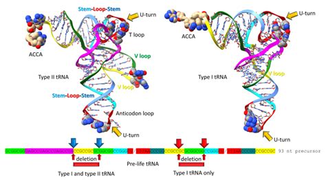 Academic Articles Open Access Government
