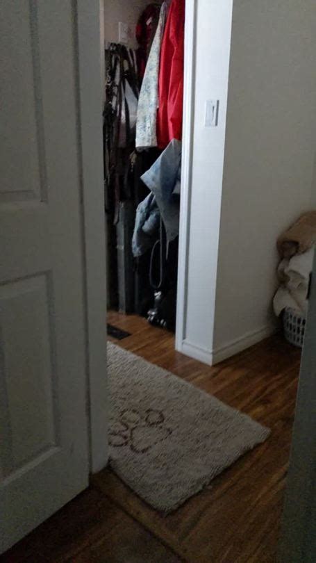 My Dogs Thought I Was Still In The Front Yard Via Tumbex