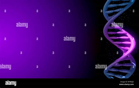 Dna Code Abstract 3d Polygonal Wireframe Dna Molecule Helix Spiral