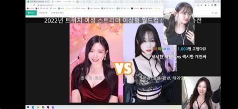 소람잉 여스 이상형월드컵 결승상대 및 우승자  치지직 에펨코리아