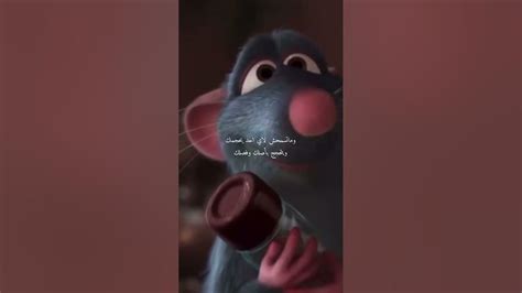 الفار الطباخ Youtube