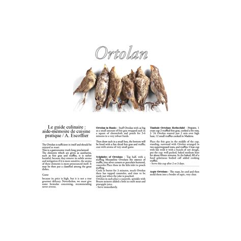 Why Cover Head When Eating Ortolan At Christopher Norman Blog