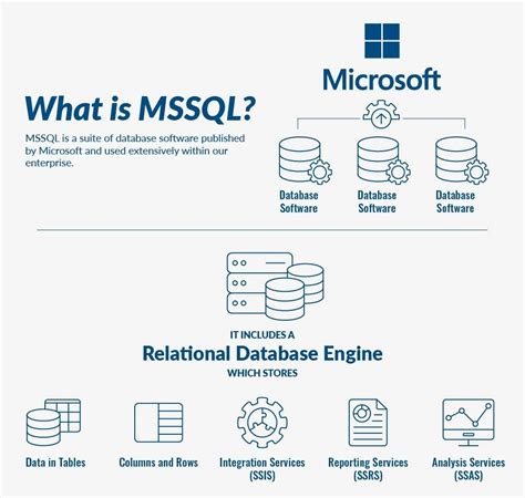 paso a paso instalación y creación de tu primera base de datos en sql