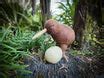 Kiwi Māmā And Her Egg Felted Wool Bird Chasing Whimsies