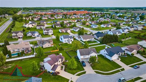 How To Handle Disputes Over Problem Trees And Plants Ace California Law