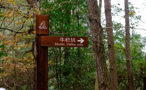 2022 Niu Lan Valley Rou Gui Tong Xin She