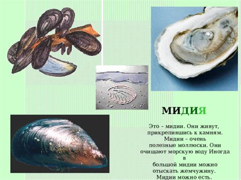 Презентация на тему Буква Дд