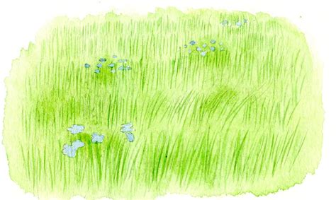 Express Your Creativity Watercolor Flowers Tutorial