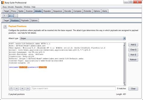 burp suite professional web vulnerability scanner e spin group
