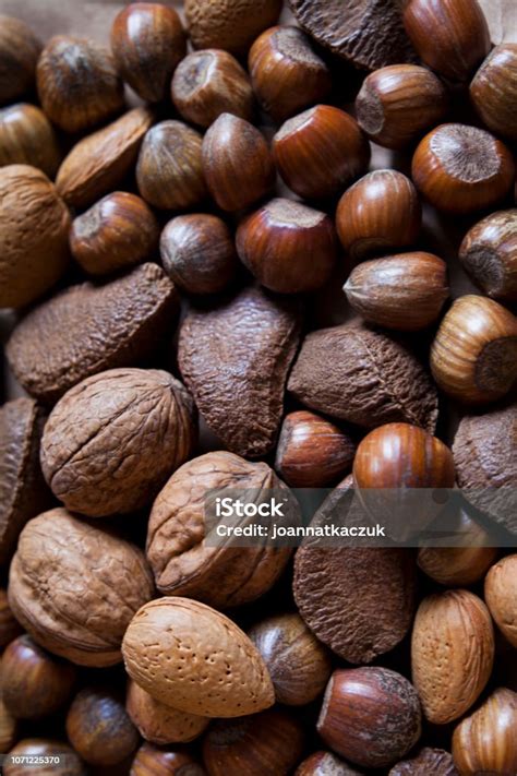 자연 배경 만들기 포탄에 견과류를 혼합 헤 즐 넛 호두 브라질 너트 아몬드 톱 보기 위치 0명에 대한 스톡 사진 및 기타 이미지 Istock