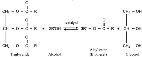 Transesterification Reaction Of Biodiesel Production Download Scientific Diagram