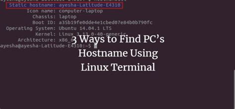 Category Ubuntu Vitux