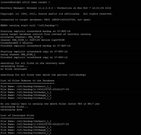oracle 11g r2 database dataguard kurulumu Çözümpark
