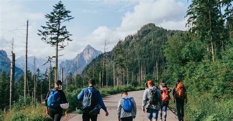 건강한 삶 건강한 생활 걷고 있는 경치 경치가 좋은 고요한 관광 광야 그룹 길 낮 레크리에이션 말 폴로