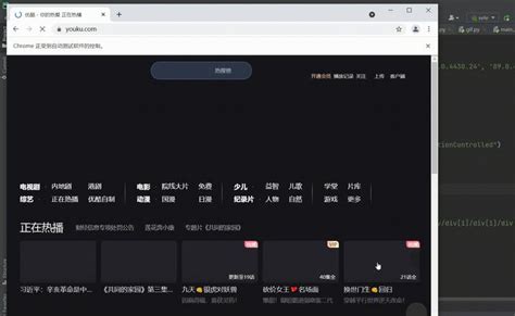Selenium为什么慢？那是你加载策略设置不对 知乎