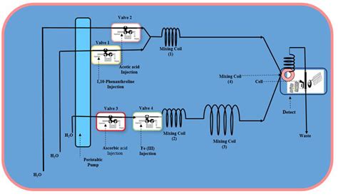 Schematic Diagram Of The Merging Zone Via Flow Injection Analysis