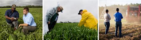 Survey On Site Specific Nutrient Management Practices Nutrient