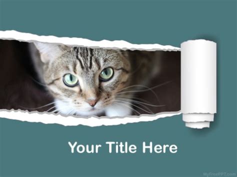 Free Cat PowerPoint Templates MyFreePPT Com