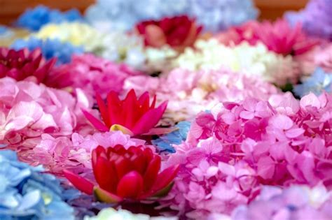 中学校卒業 おまめと私の日常