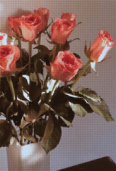 Post Real Girls Of Tumbl Tumblr Com Tumbex