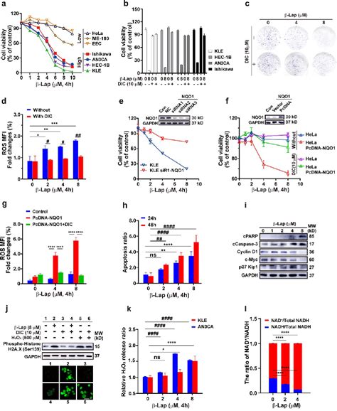 figure 1 from tumor speci c catalysis mediated enhanced chemodynamic