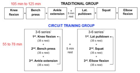 What Is Circuit Training Program Wiring Flow Schema