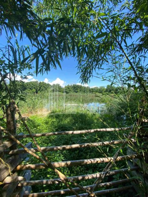 იყიდება მიწის ნაკვეთი ფოთი სამეგრელო ზემო სვანეთი