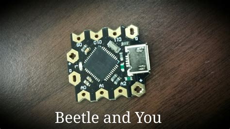 Beetle Minimize Your Arduino Projects 7 Steps Instructables