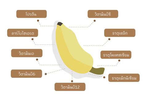 เที่ยวไทยเท่ ตอน กล้วยน้ำว้าของดีเมืองนนท์ เข้าสวนกล้วยหาเคล็ดลับและภูมิปัญญาไทยที่ใช้กล้วย