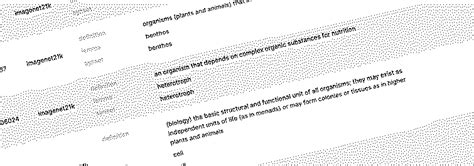 9 Ways To See A Dataset Investigating Datasets