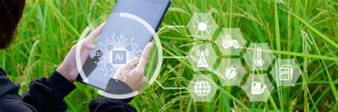 The Plight Of The Product Lead Using Drone Imagery And Machine Learning Sentera Sensors