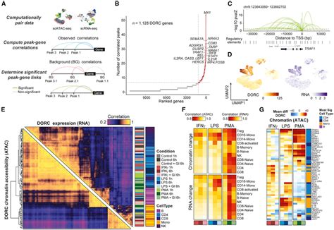 Integrative Multi Omics Analysis Identifies Key Regulatory Modules Download Scientific Diagram