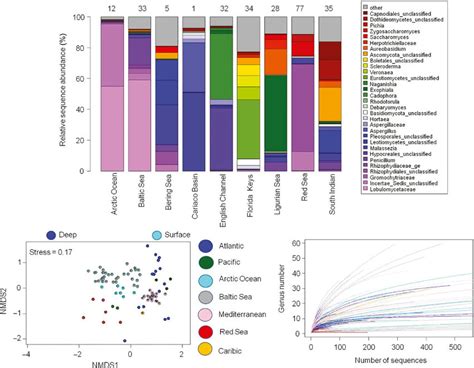 18s Rrna Amplicon Sequencing Of Global High Throughput Sequencing Download Scientific Diagram