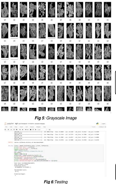 Figure 1 From Identification Of Weeds From Crops Using Convolutional