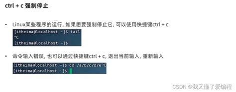 计算机四大件学习计算机四大件csdn Csdn博客 计算机四大件学习计算机四大件csdn Csdn博客