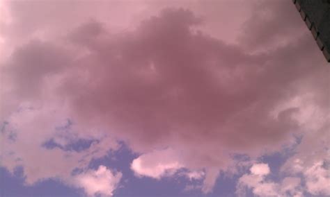 حسام الدین شفیعیان