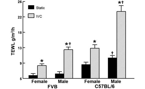 Effect Of Ventilated Caging On Water Intake And Loss In 4 Strains Of