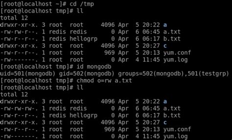 19 Linux基础知识及命令修改文件的属主和属组 51CTO博客 修改文件属主 linux命令