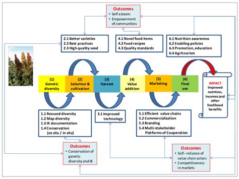 Holistic Value Chain Framework For The Promotion Of Nus Download Scientific Diagram