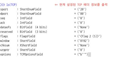 Scapy 사용방법 Sniffing