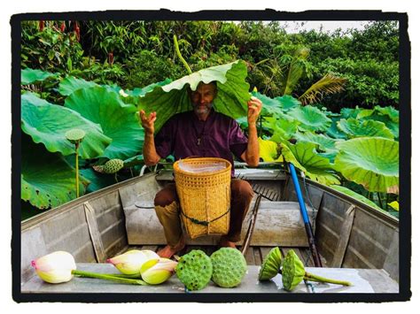 New Sun Tribe The T Of Dan Schreiber — Entheogenesis Australis