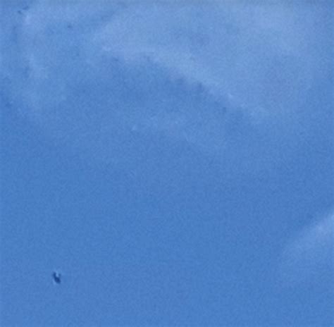 Drone Or Bug Or Something Else R Ufos