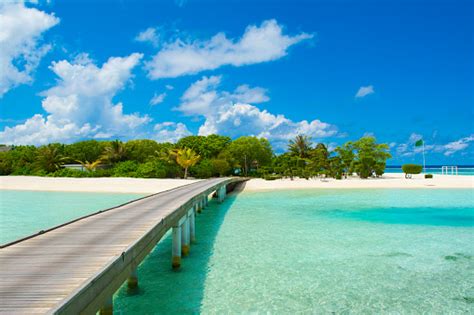 야자수와 열 대 식물 몰디브의 그늘 아래에서 아름 다운 모래 해변을 Bwooden 다리 0명에 대한 스톡 사진 및 기타 이미지 0명 관광 나무 Istock