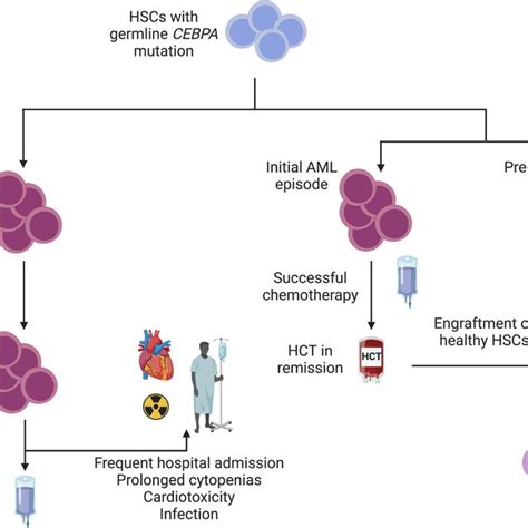 Indications For Referral To Our Hereditary Hematologic Malignancy Download Scientific Diagram