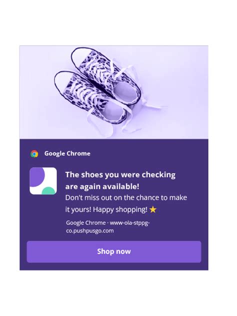 transactional push notifications pushpushgo