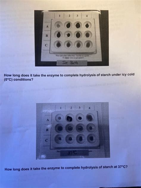 Solved Enzyme Activity Is Affected By A Number Of Parameters Chegg Com